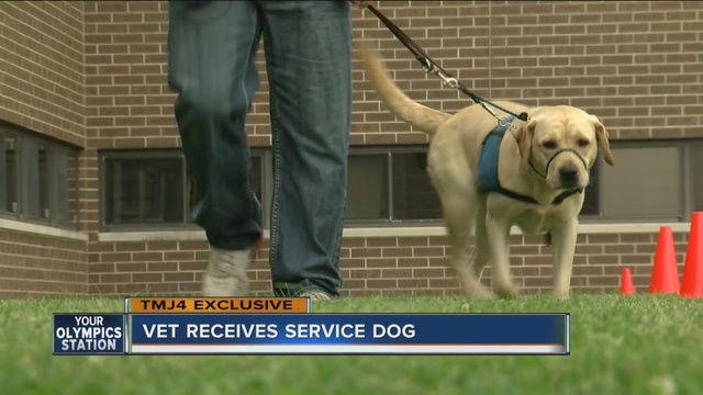 Prison dog training programs have positive impact on community - TMJ4 ...