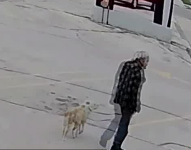 Man beaten while walking his dog - TMJ4 Milwaukee, WI