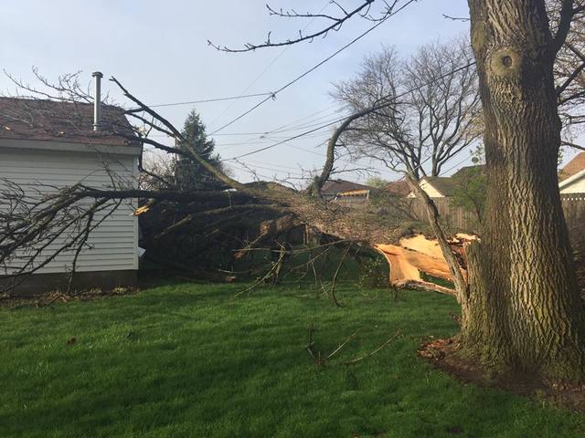 Thousands in southeast Wisconsin wake up to storm damage Thursday ...