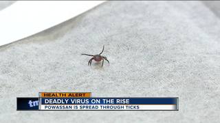 Deadly tick-borne virus on the rise in Wisconsin - TMJ4 Milwaukee, WI