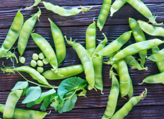 Milwaukee, Wisconsin News and Weather | TMJ4-TV | tmj4.com