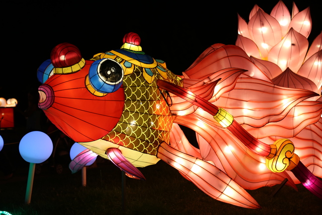 China Lights 2017 - Gallery