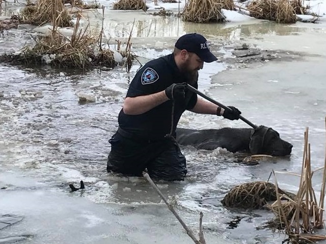 Rice Lake police officer rescues dog from icy, muddy pond - TMJ4 ...