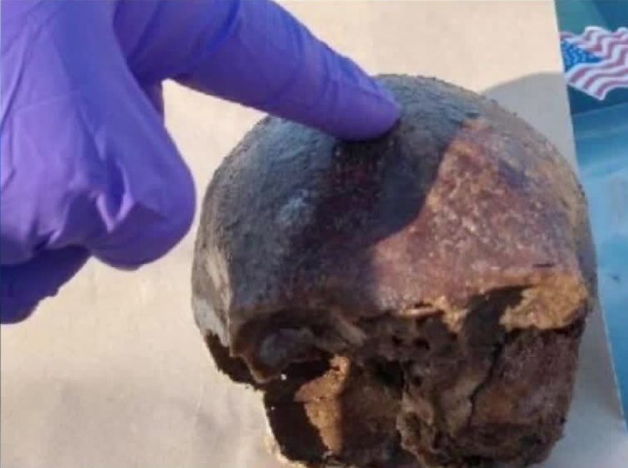 Bones found by children in Reedsburg likely from 1800s - TMJ4 Milwaukee, WI