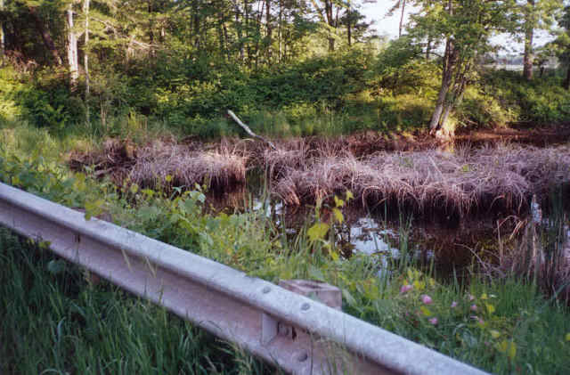 The 18 scariest and most haunted places in Wisconsin [PHOTOS] - Gallery